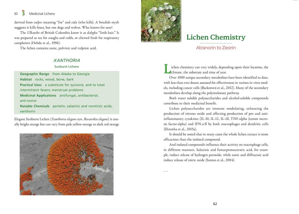 Medicinal Lichens: Indigenous Wisdom and Modern Pharmacology - Nokomis