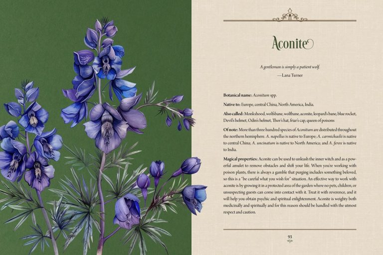 Enchanted Plants: A Treasury of Botanical Folklore & Magic - Nokomis