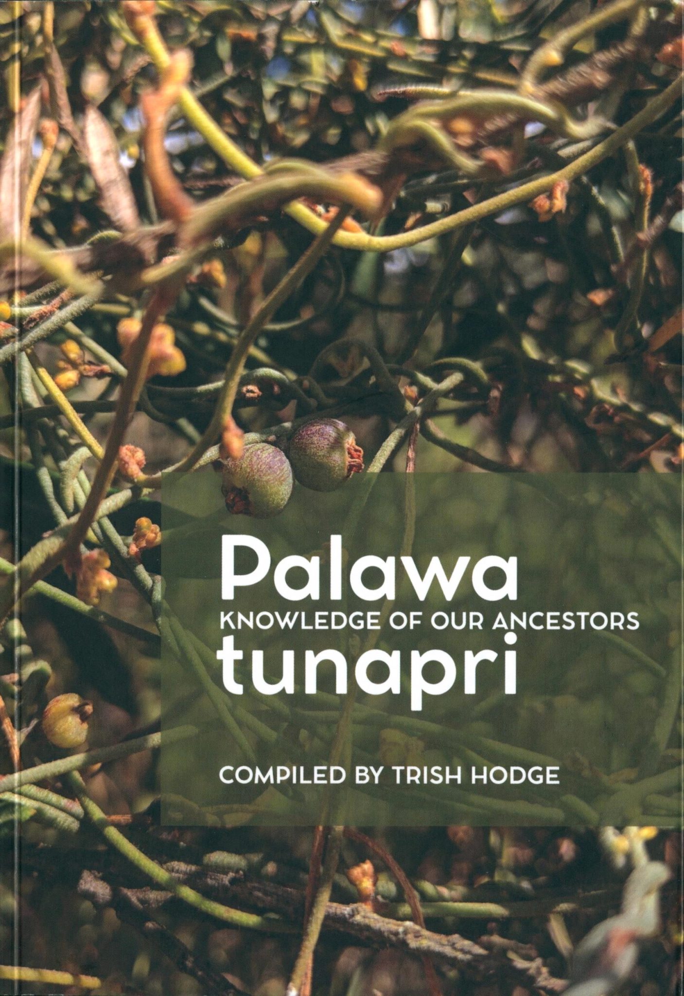 Palawa tunapri: Knowledge of our Ancestors - Nokomis