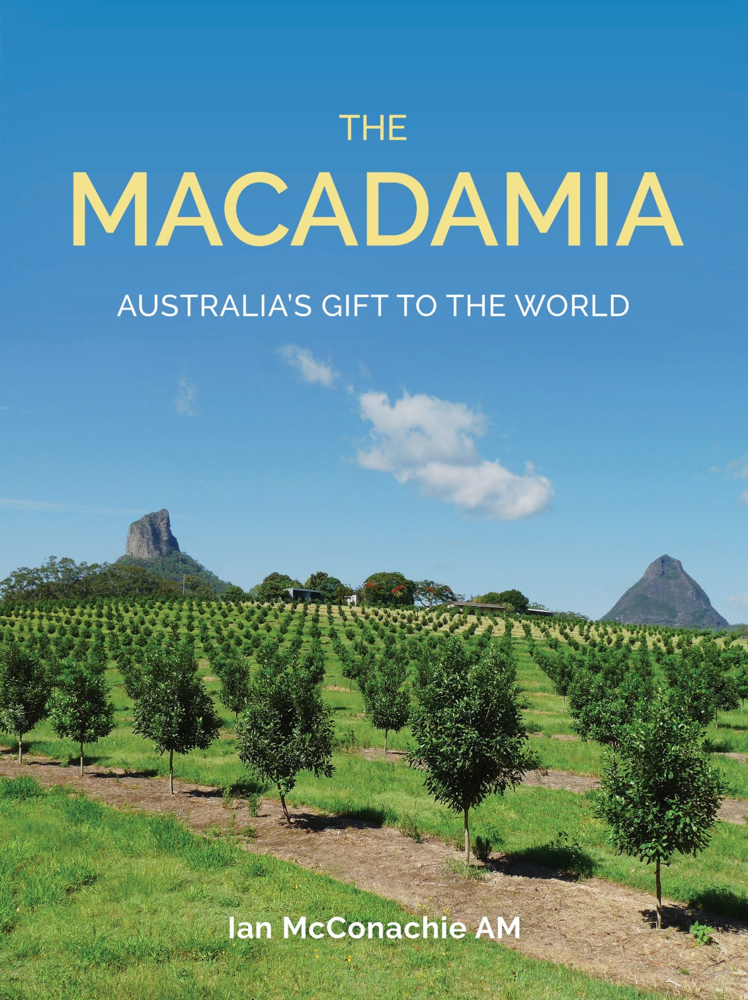 The Macadamia: Australia's Gift to the World - Nokomis