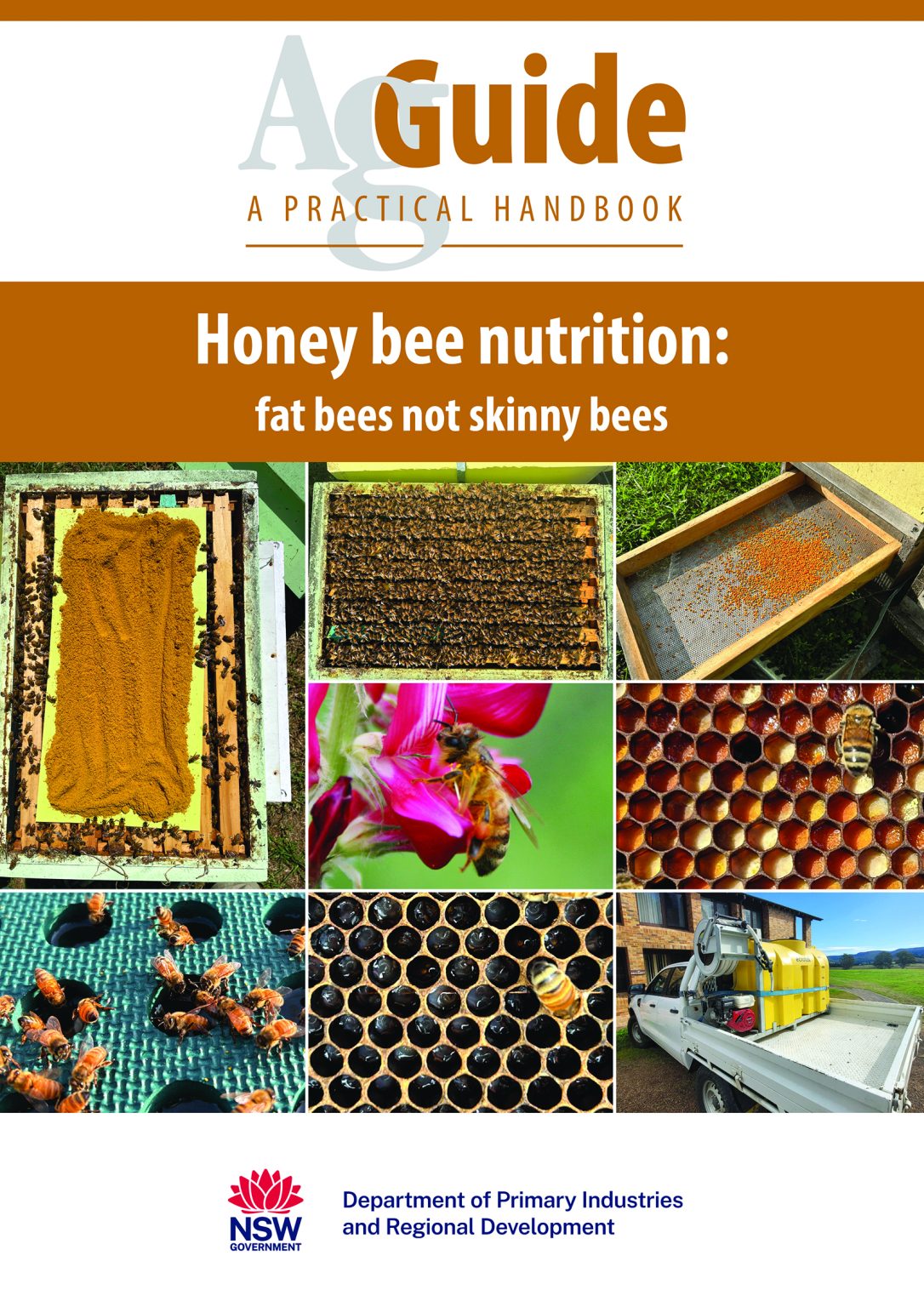 Honey Bee Nutrition: Fat Bees Not Skinny Bees: A Practical Handbook ...